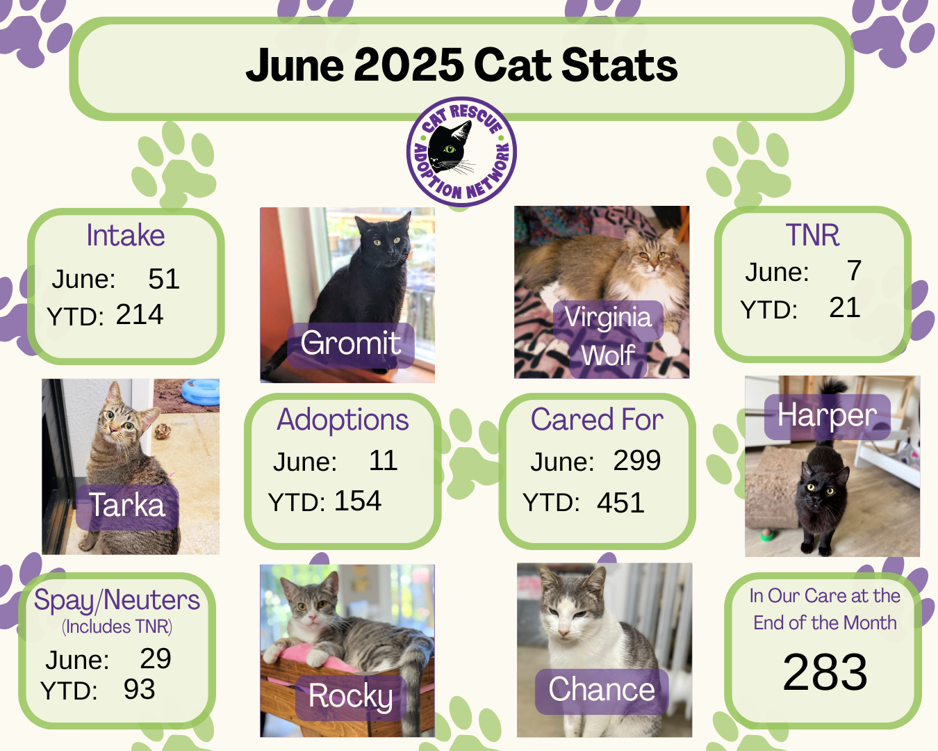 Cat Rescue and Adoption NetworkJune 2025 Adoptions - Cat Rescue and ...