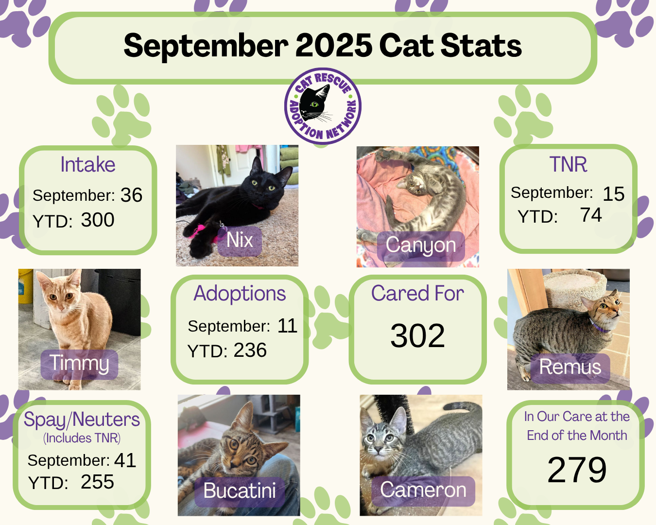 Cat Stats Cats Official Cat Cafe Manager Wiki